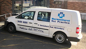 Mobile Vet Service Sydney | Normanhurst Vet | Call 02 9489 6000